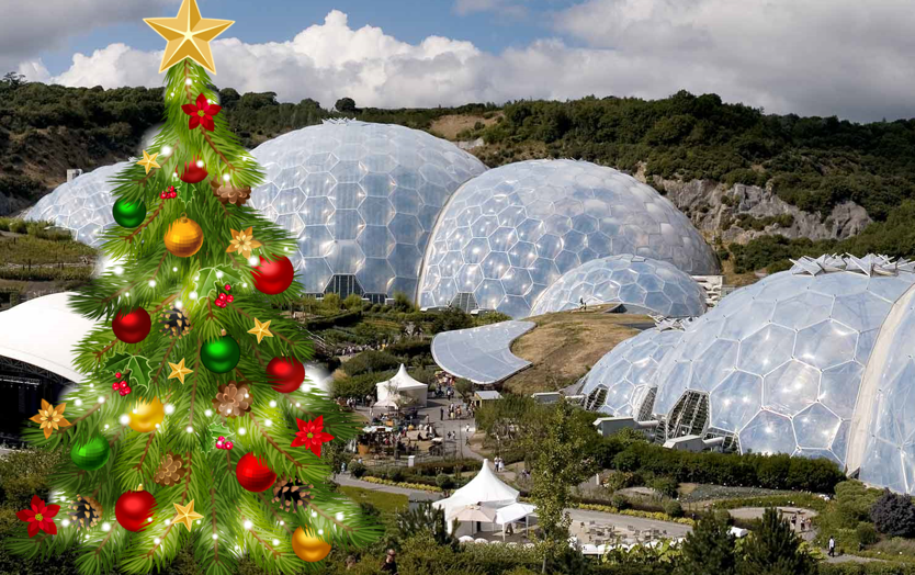 Christmas @The Eden Project - Torquay International School